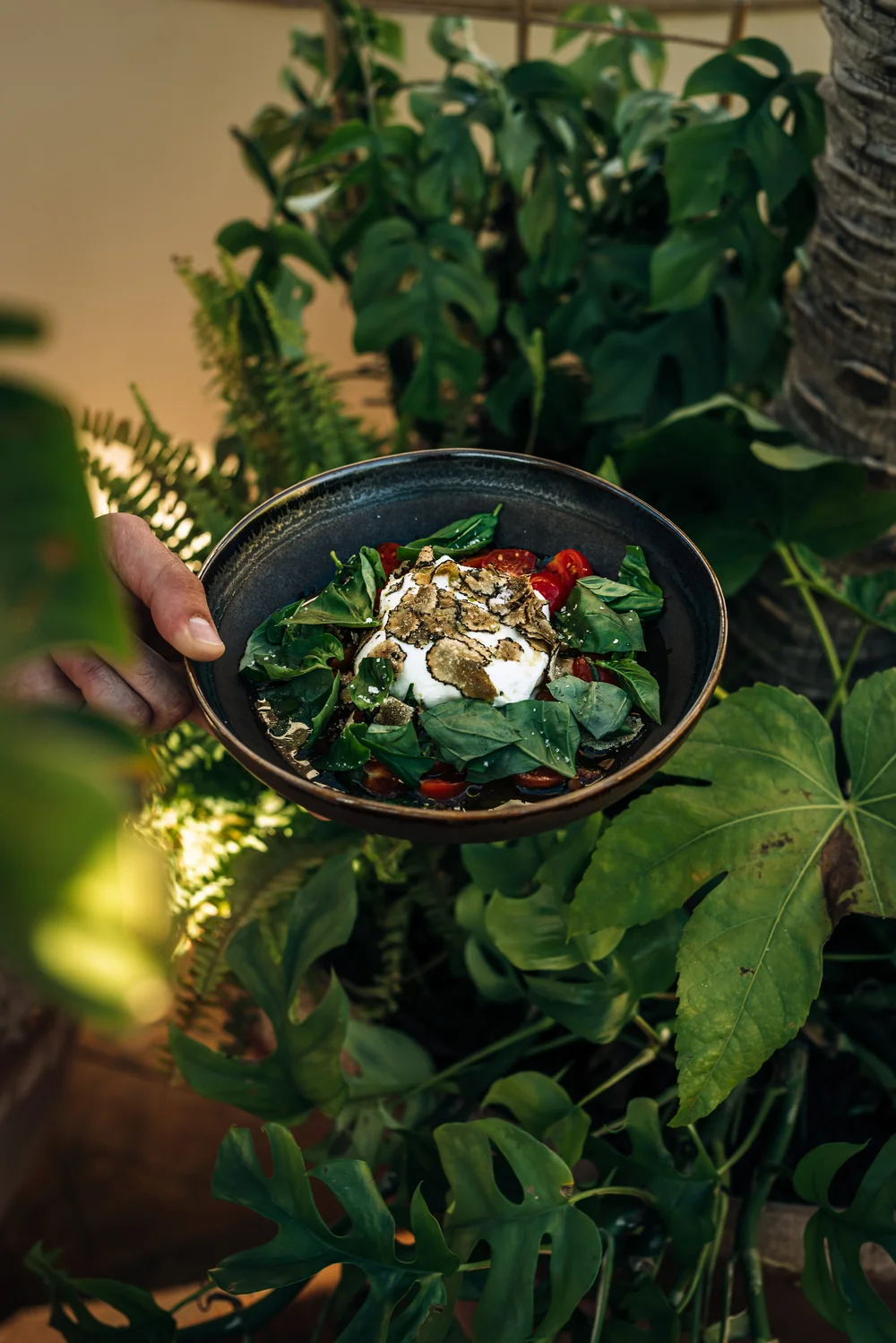 Mona Verde - Lisbon Rooftop Restaurant