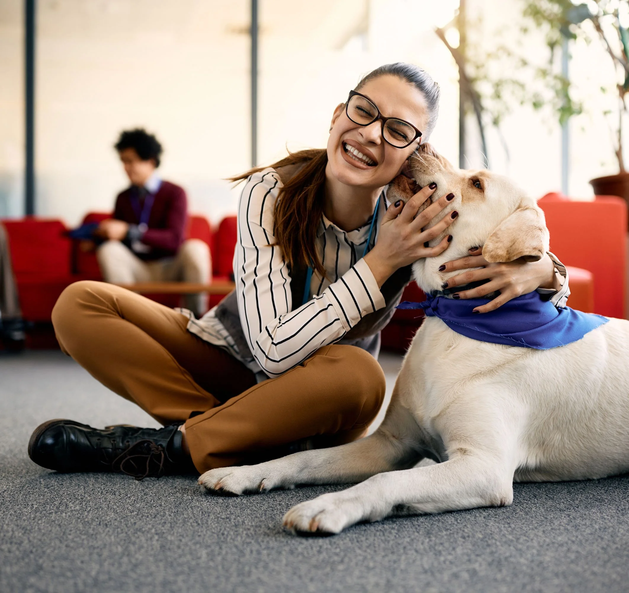 Service Dog Program (SD) — AWDA