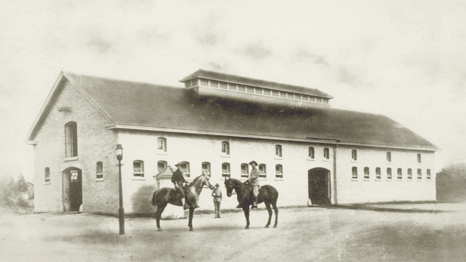 Mule Barn Tavern