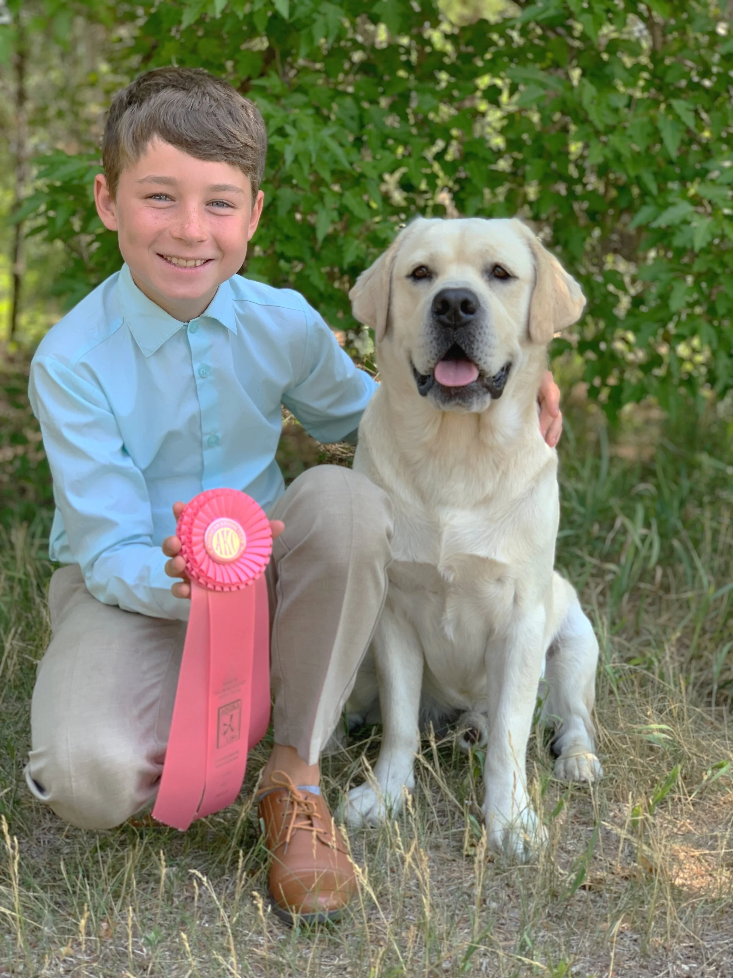 Upcoming Labrador retriever puppies for sale Minnesota — River Haven ...