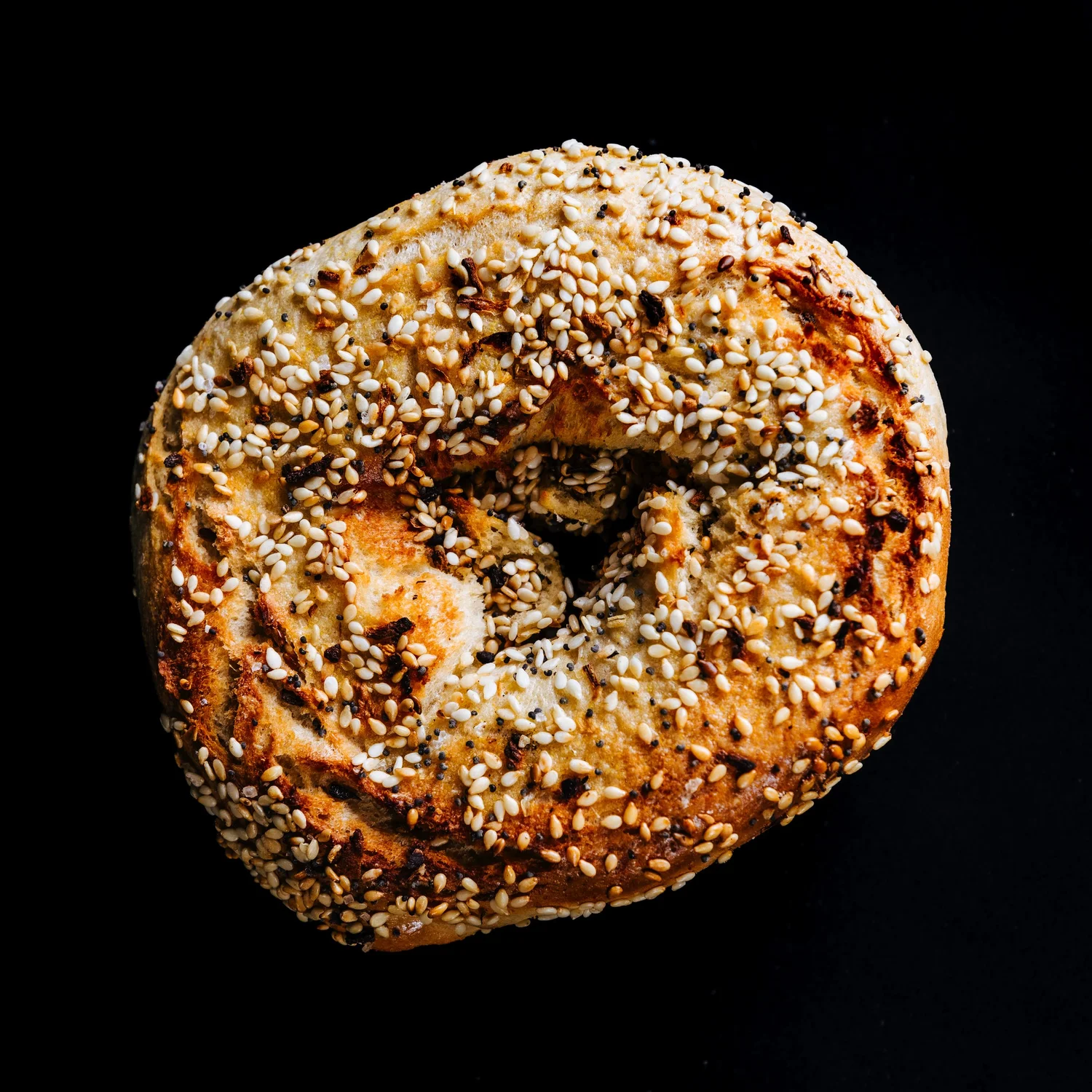 out of this world Bagel | Order Fresh Bagels Today