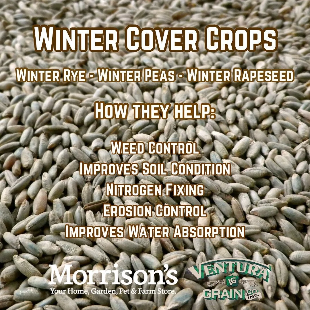 Morrison's Home & Garden