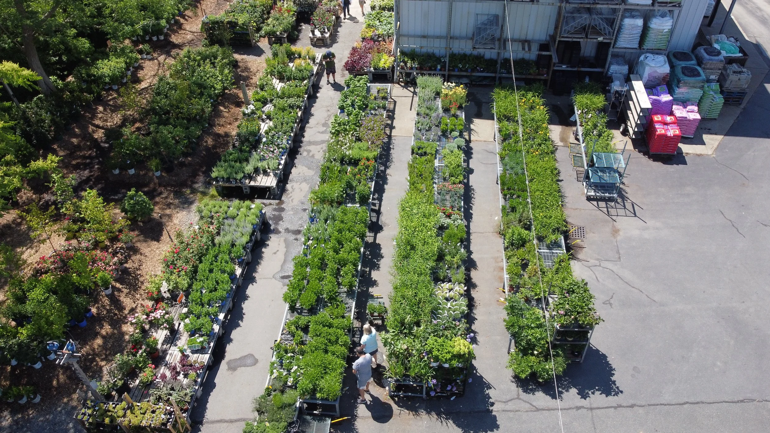 Morrison's Home and Garden