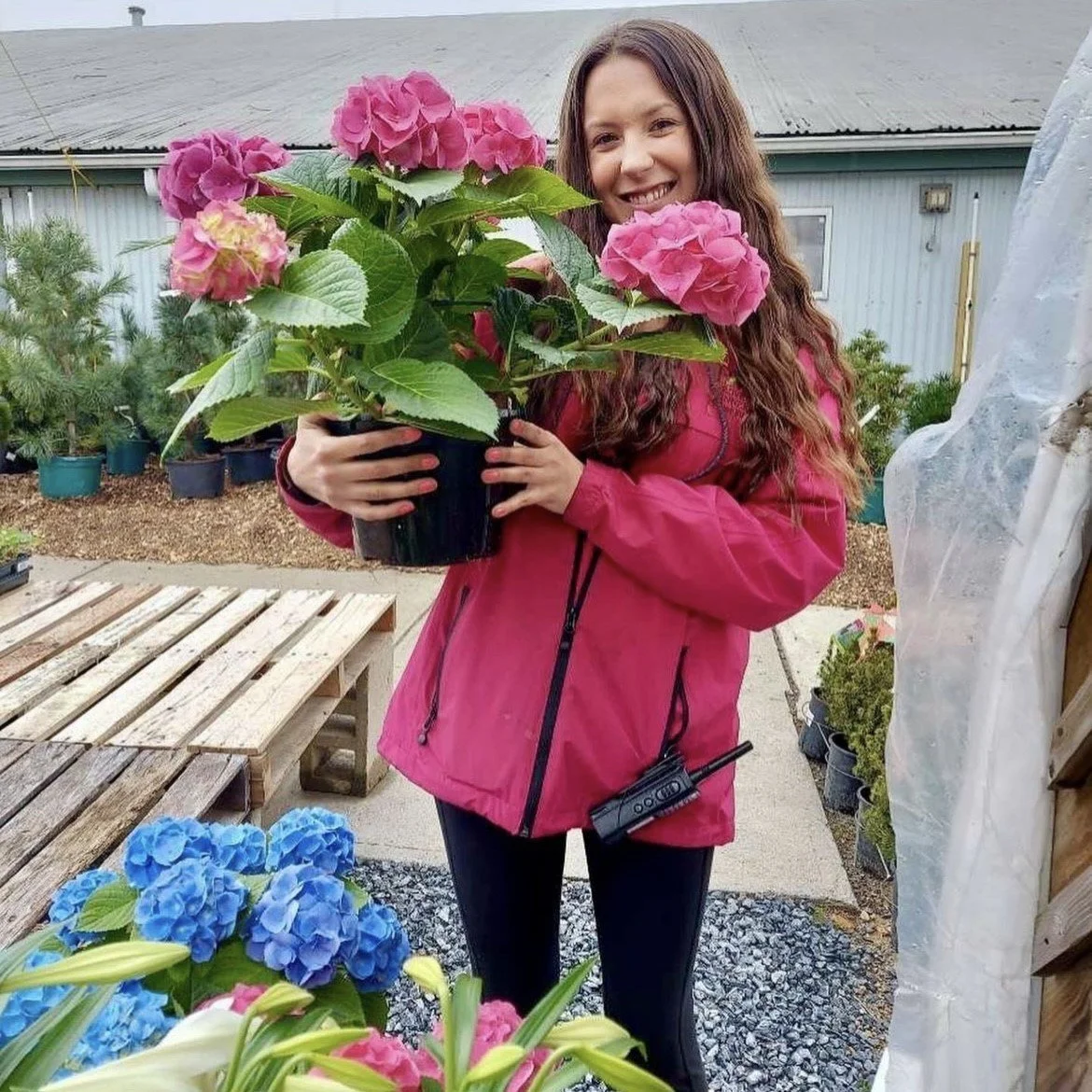 Morrison's Home and Garden