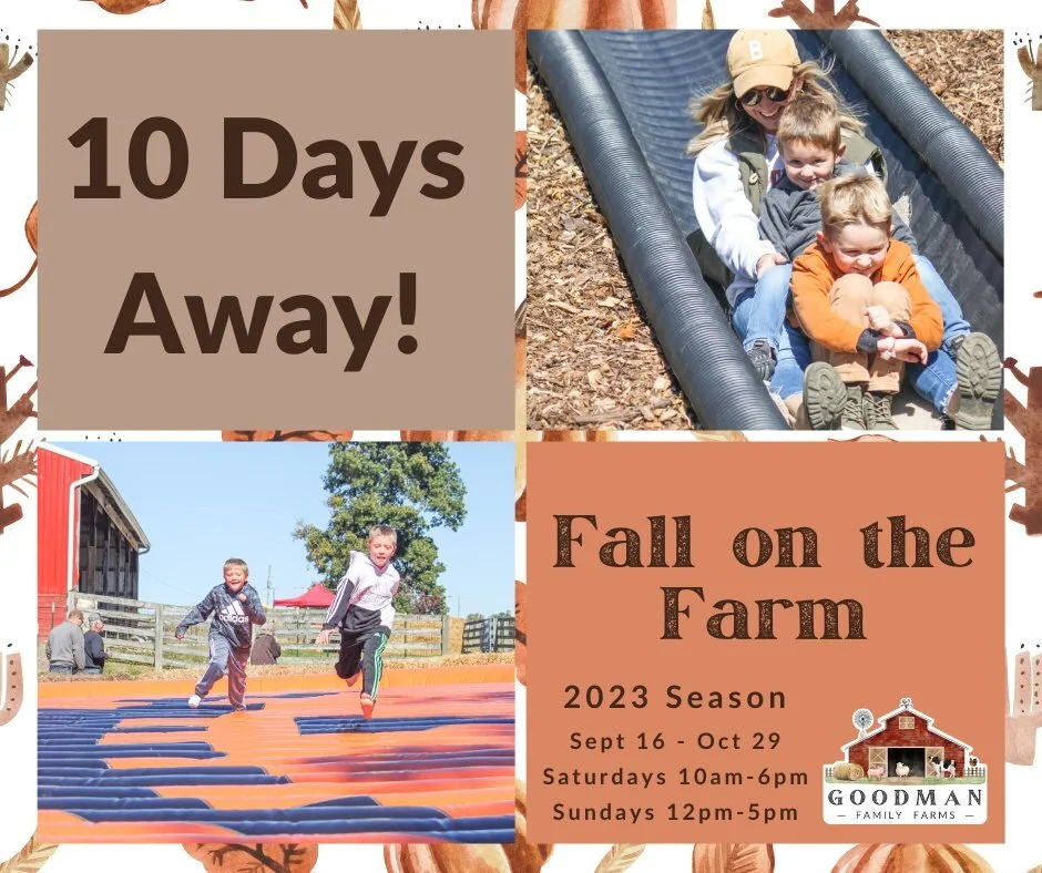 Goodman Family Farms