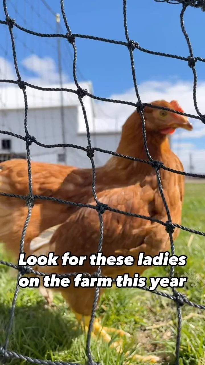 Goodman Family Farms