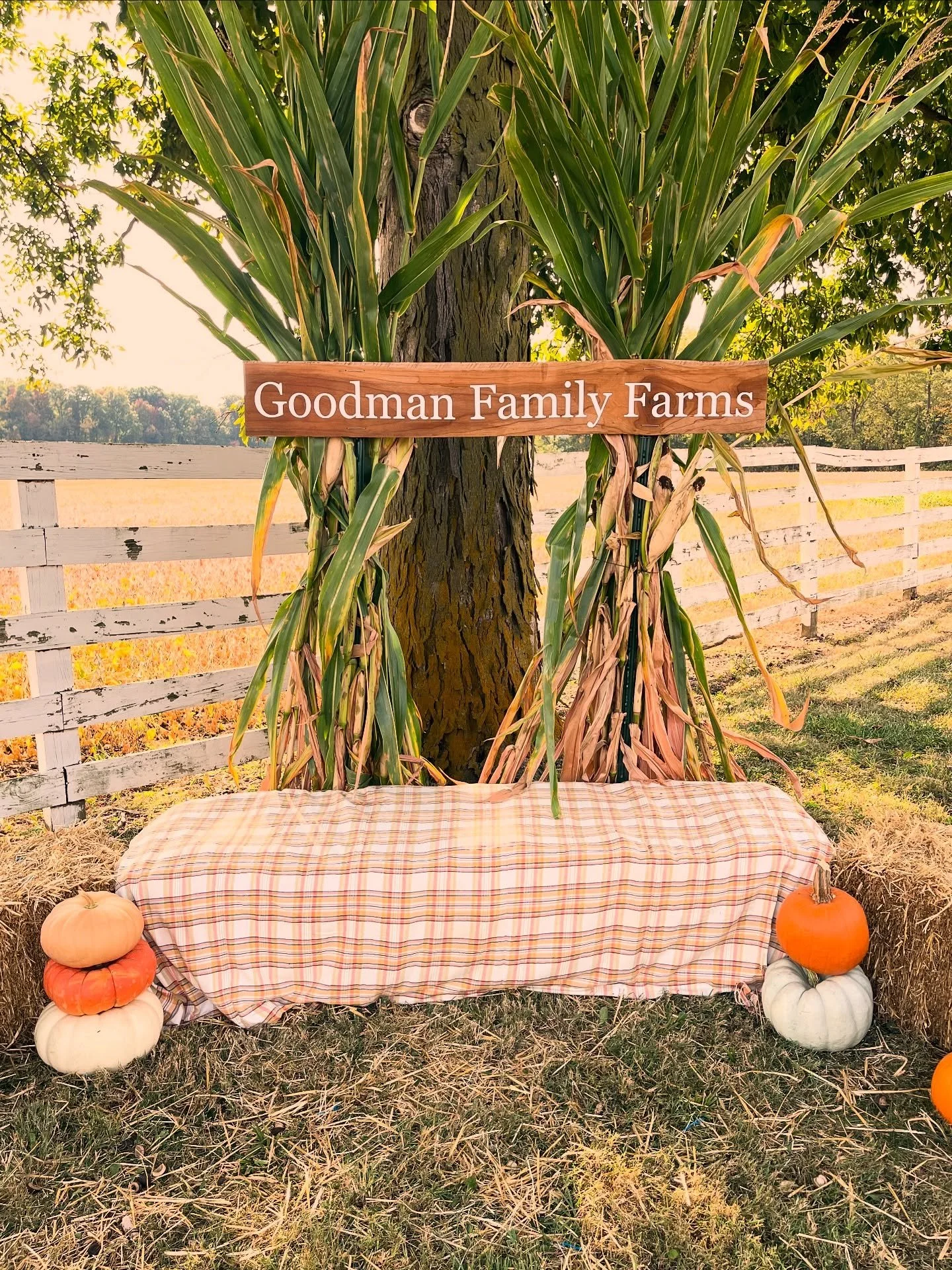 Goodman Family Farms
