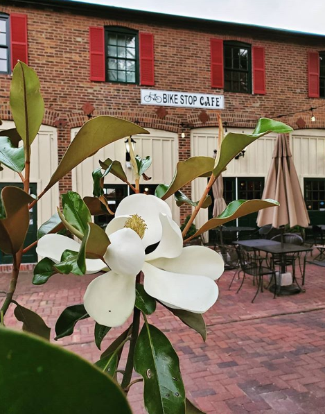 General 2 — Bike Stop Cafe