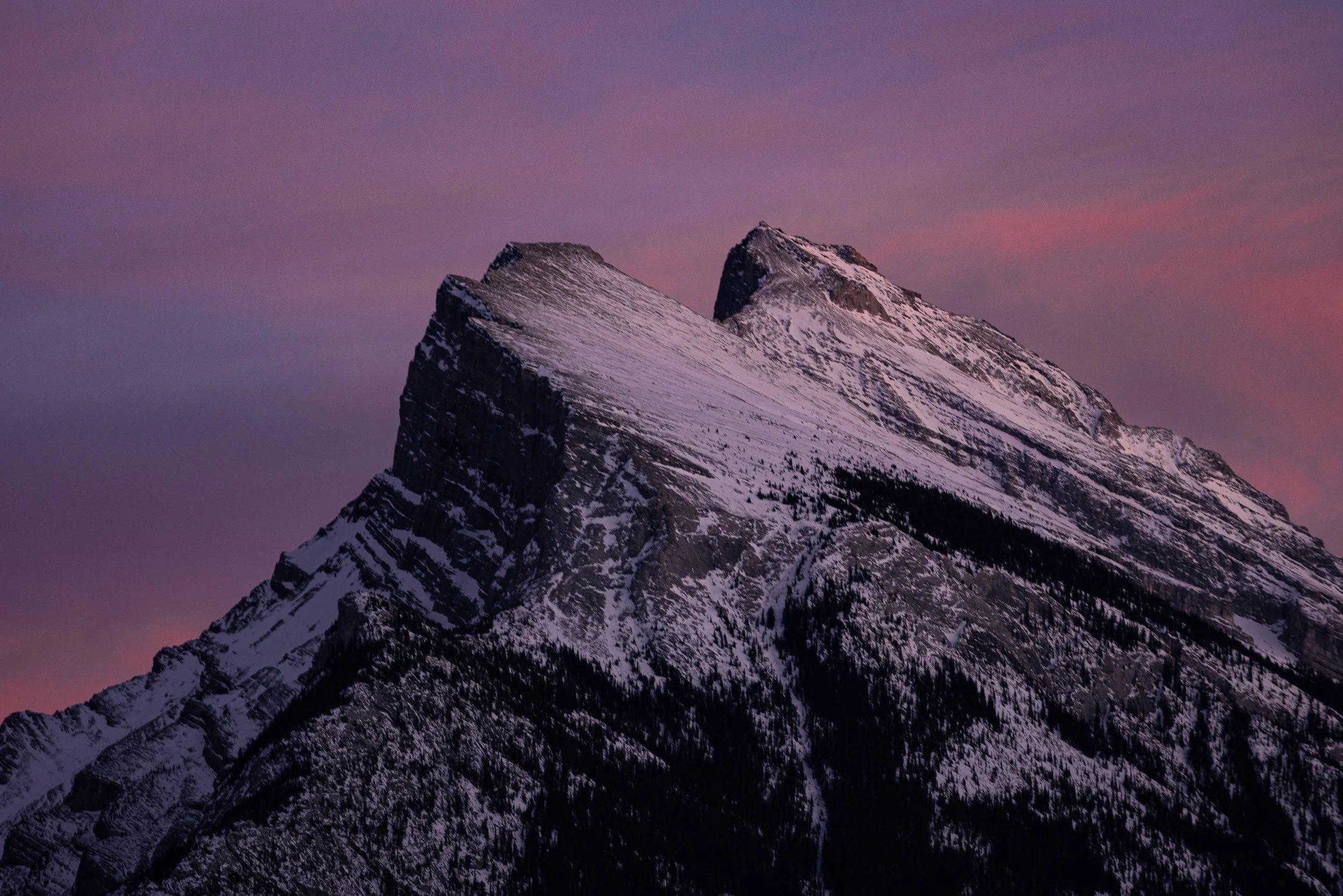 Nick Cavanagh Photography