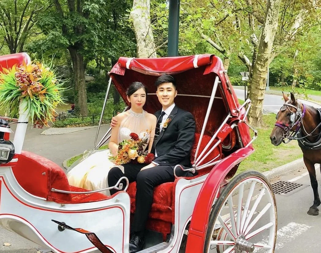 NYC Horse Carriage Rides | Top Hat NY Horse & Carriage