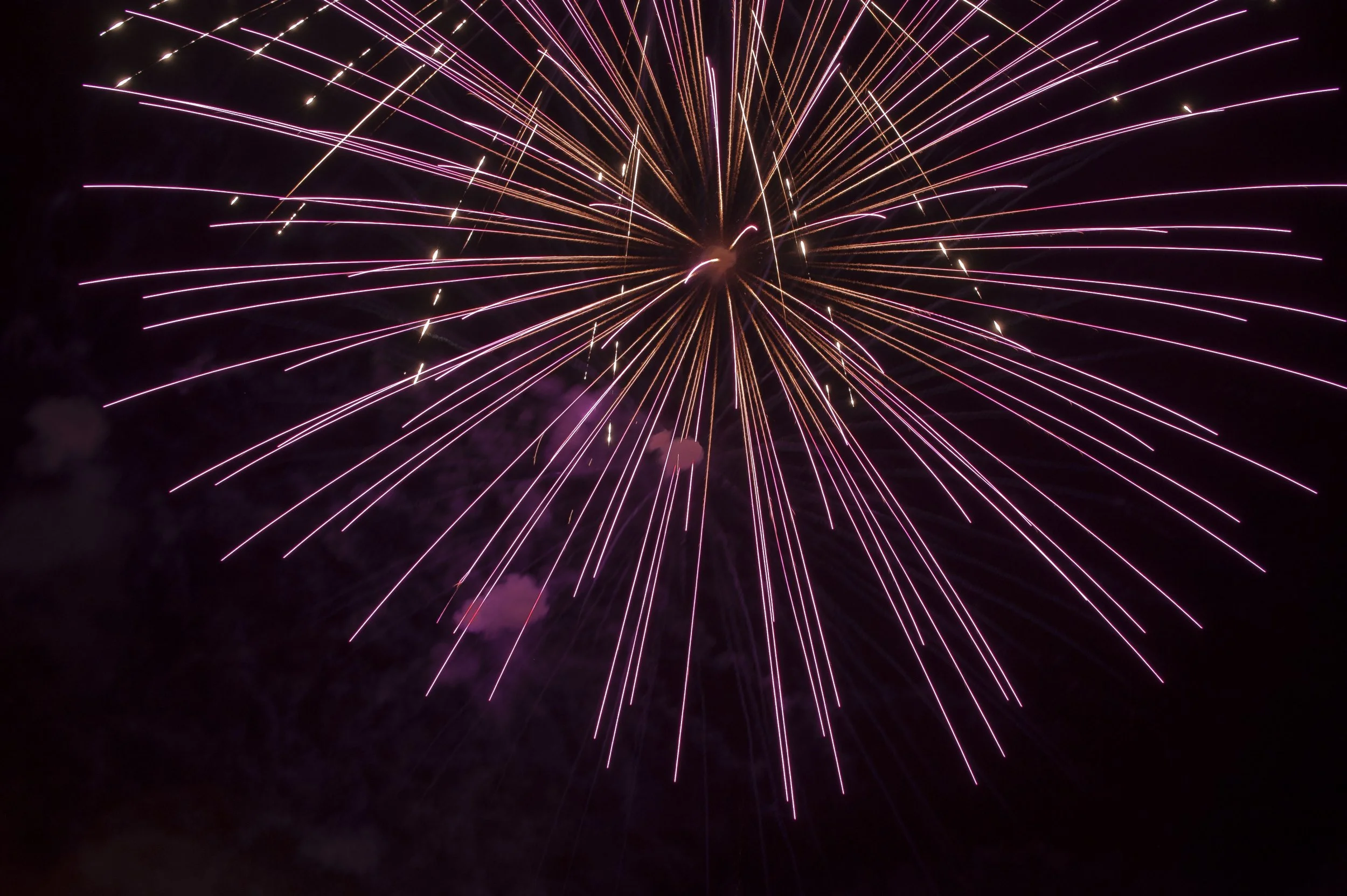 Take Action — RINO Watch Colorado