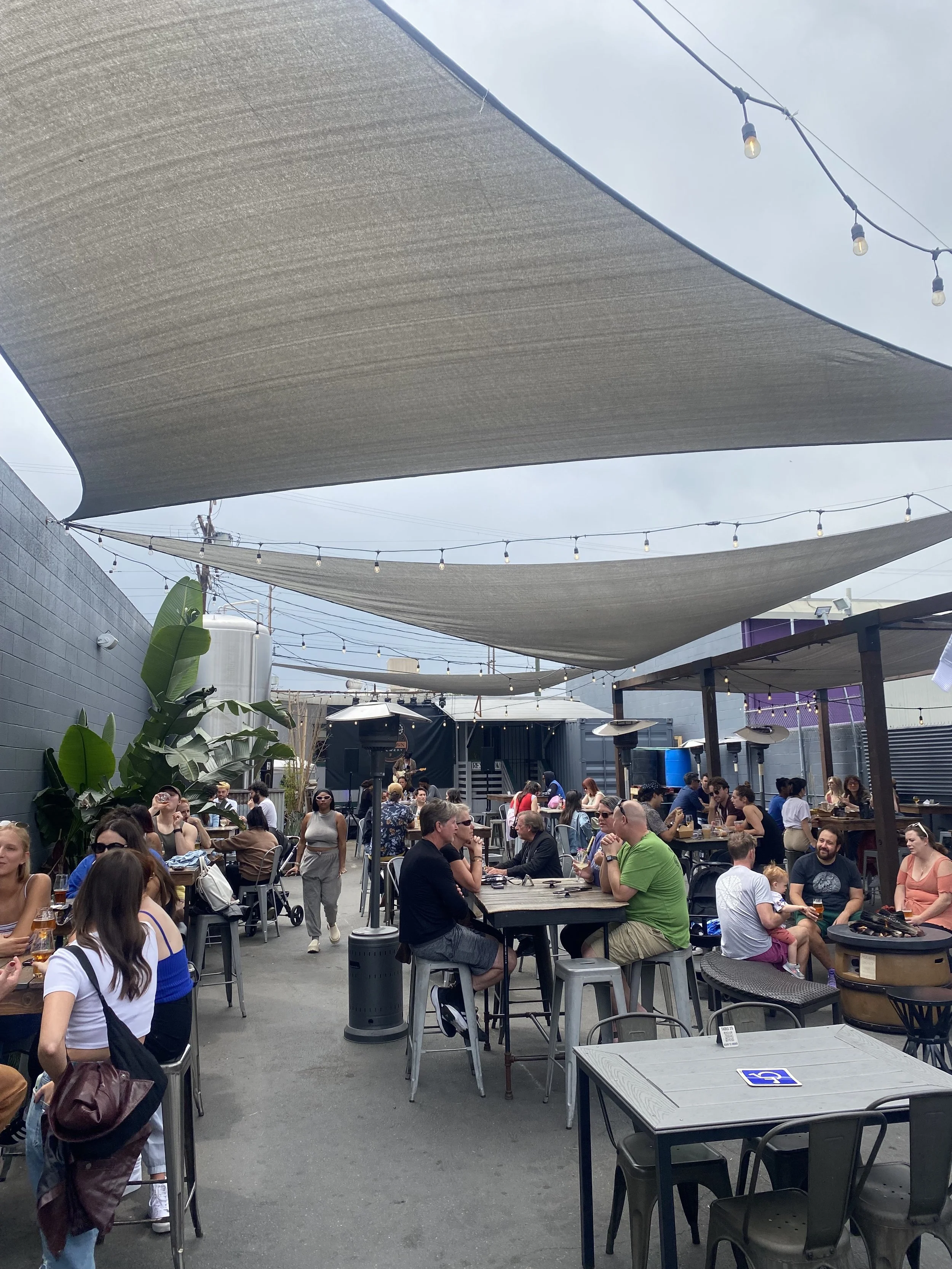 The Frogtown Project