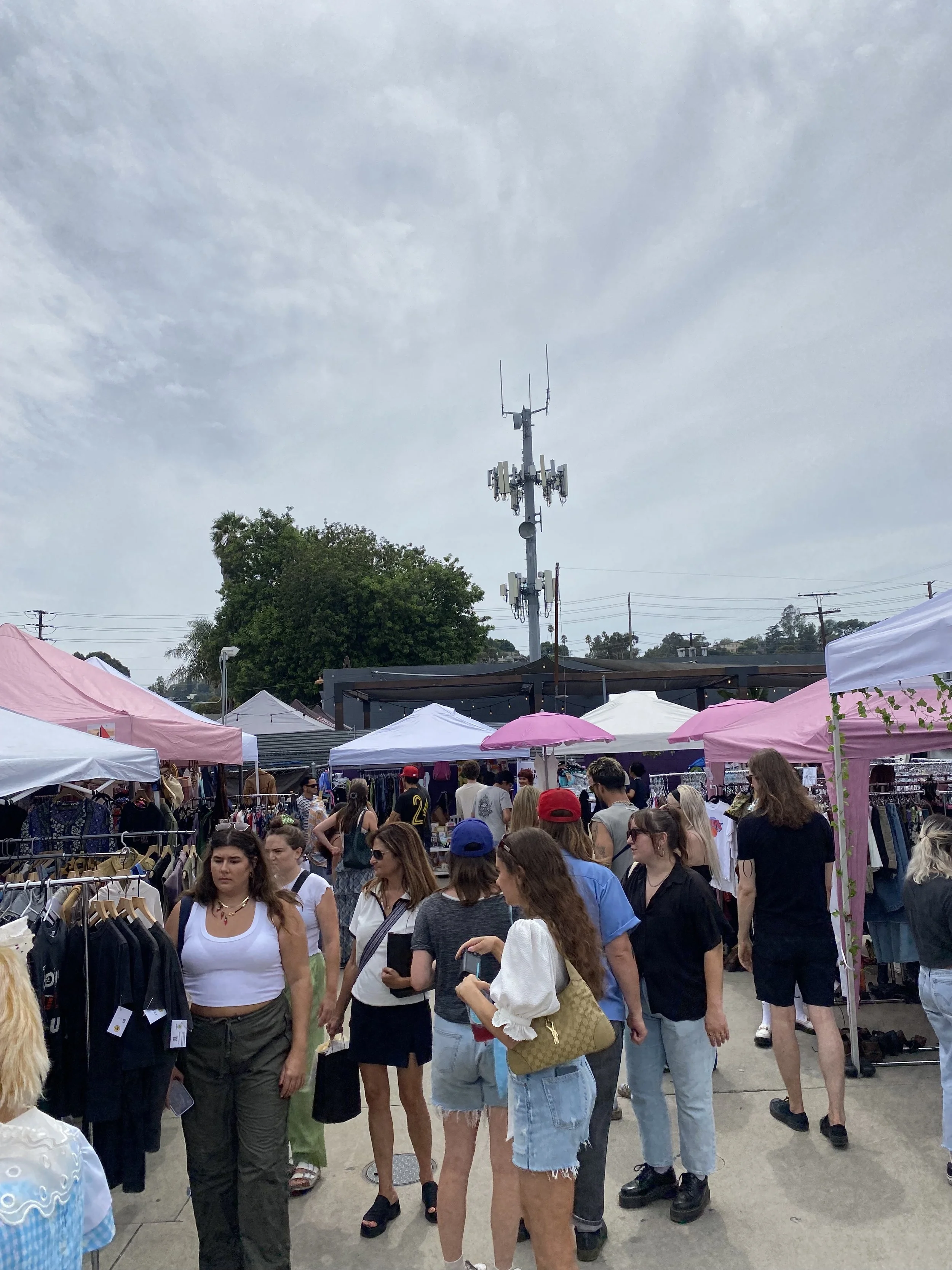 The Frogtown Project