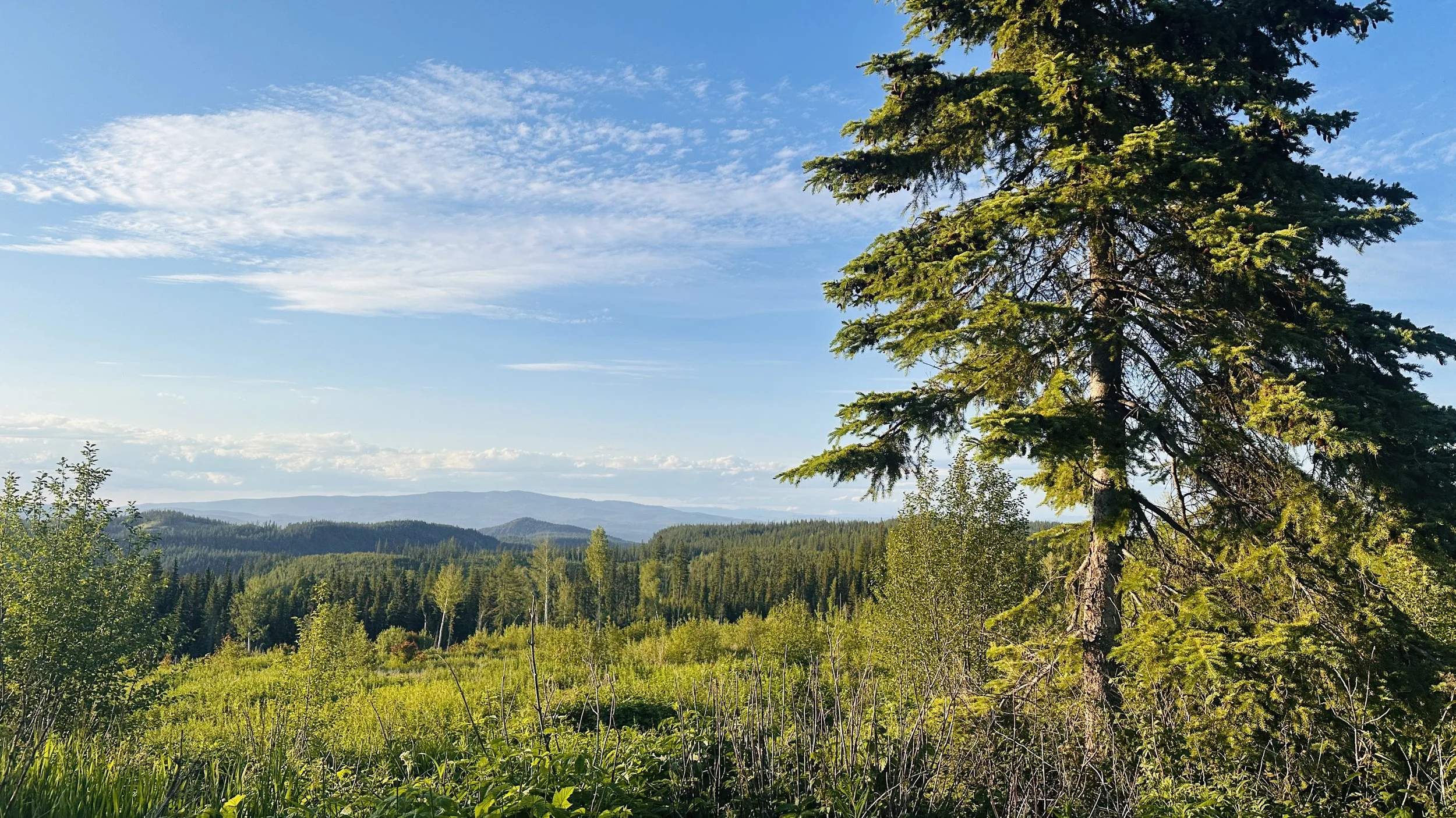 Grandpa's Heart at Nicklen Lake