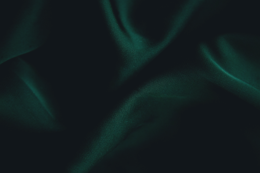 Officially Licensed Fourth Wing — Shop Literary Luxuries — Valor & Lore