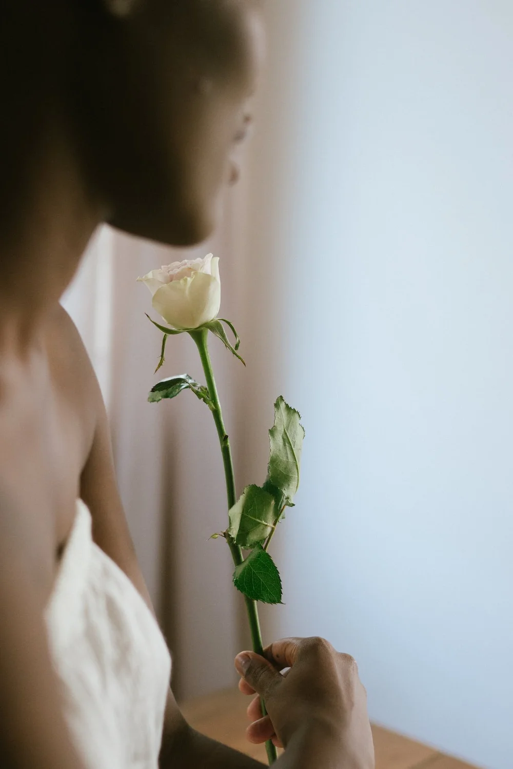 Guide to Flower Appreciation — Petal & Poem - HK's Top Luxury Florist