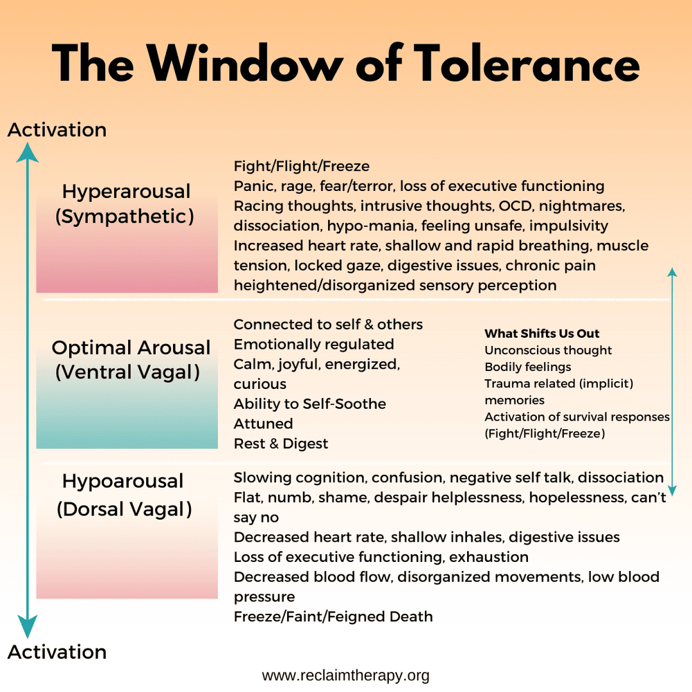 What Causes Body Image Issues? Embodiment Work Can Support Your Healing