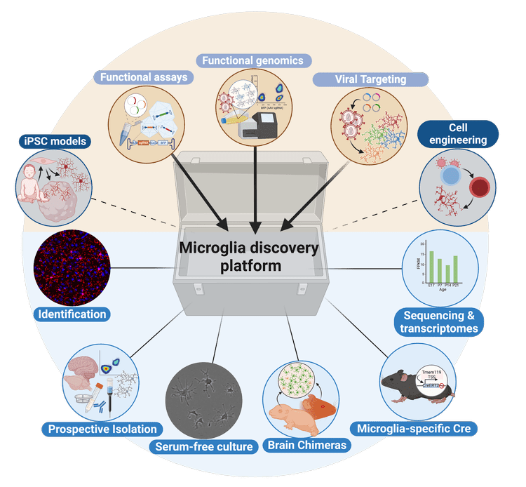 Mariko Bennett Lab