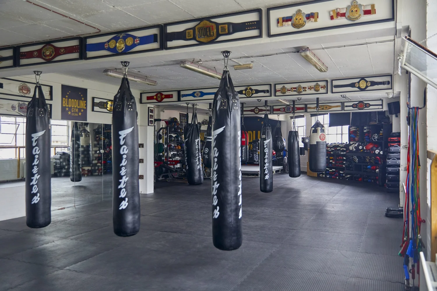 Bloodline Gym
