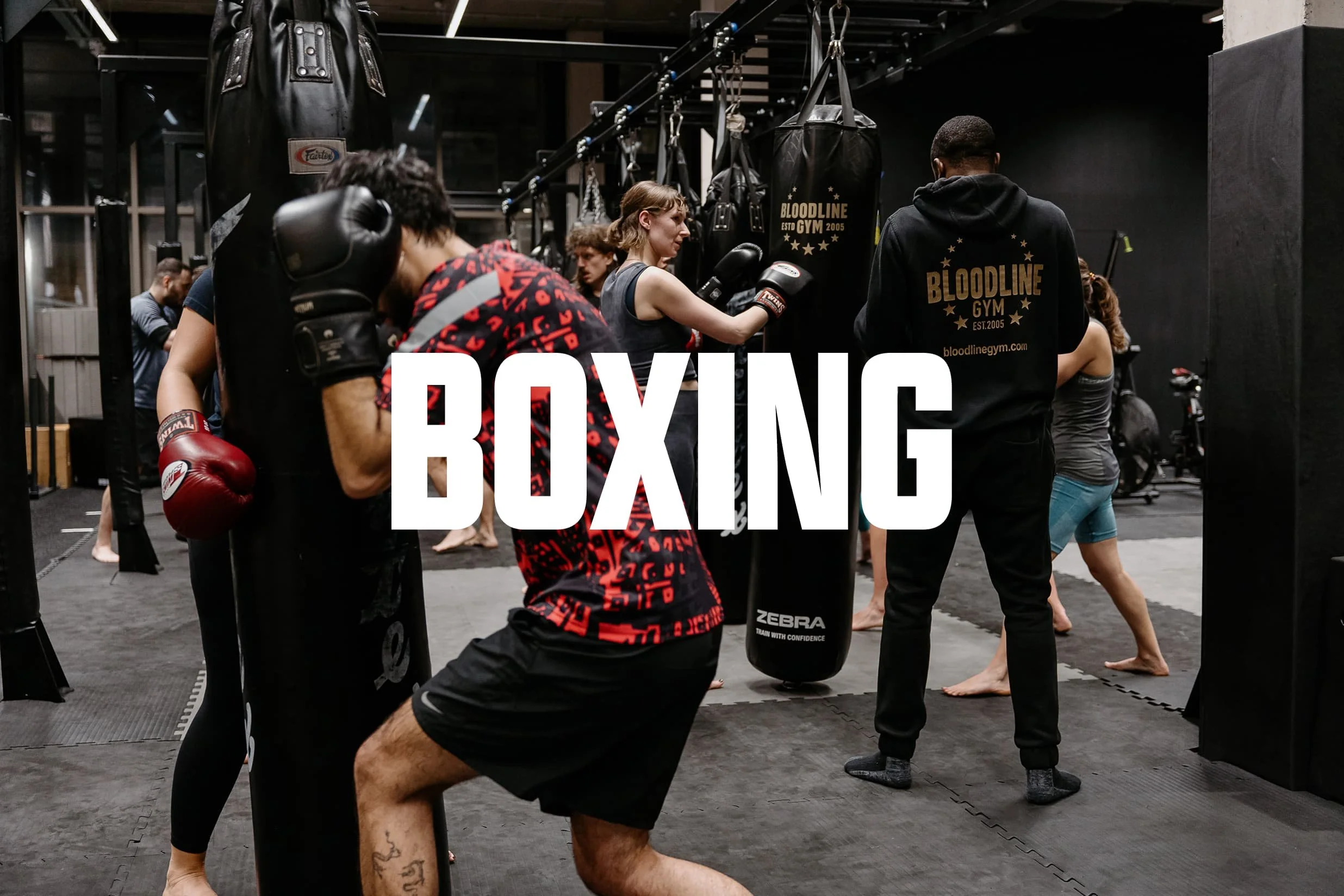 Bloodline Gym