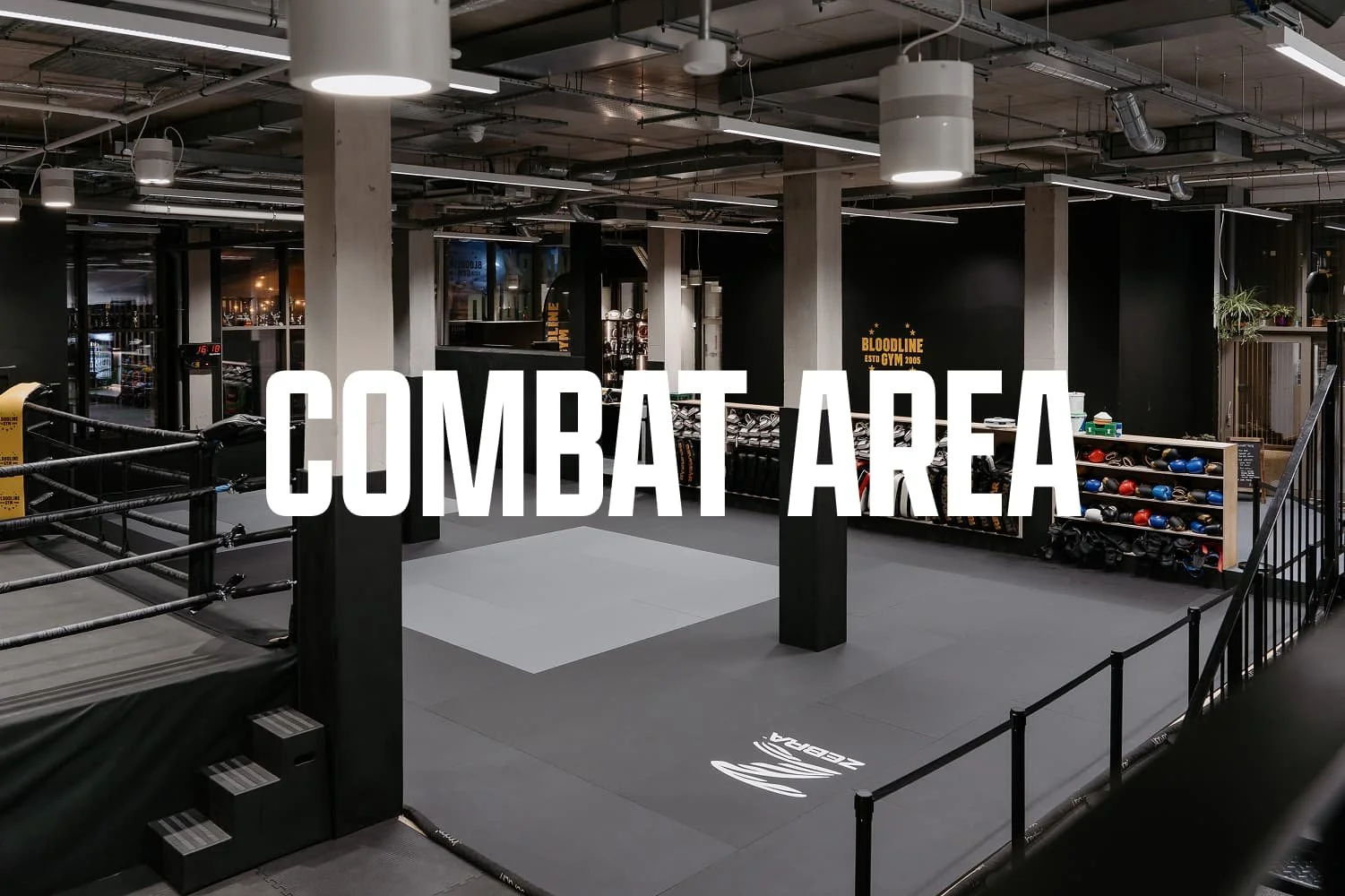 Bloodline Gym