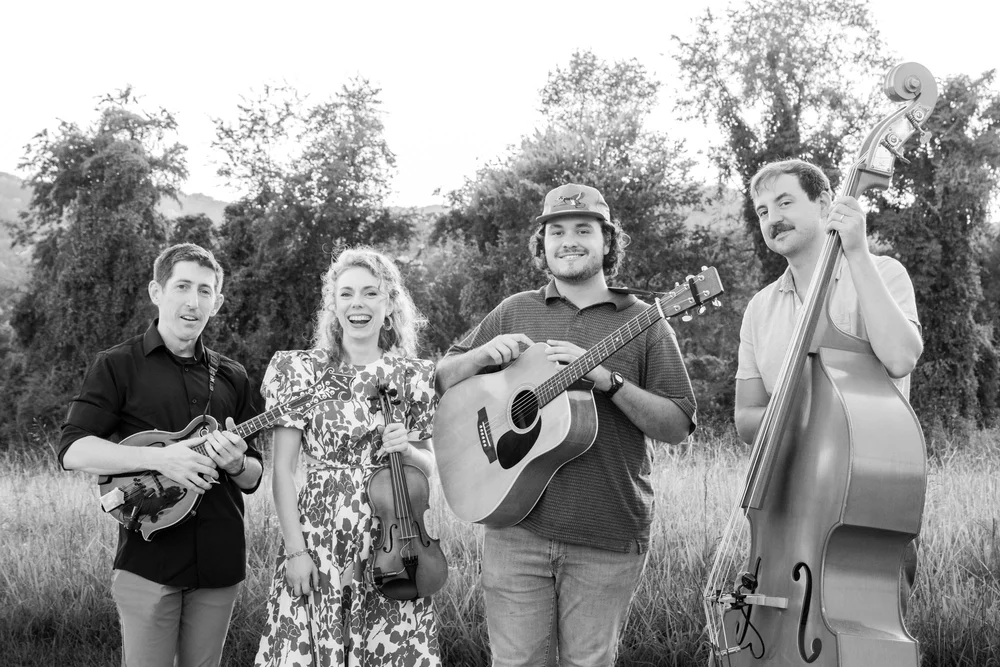 Shows | Rare Bird Alert