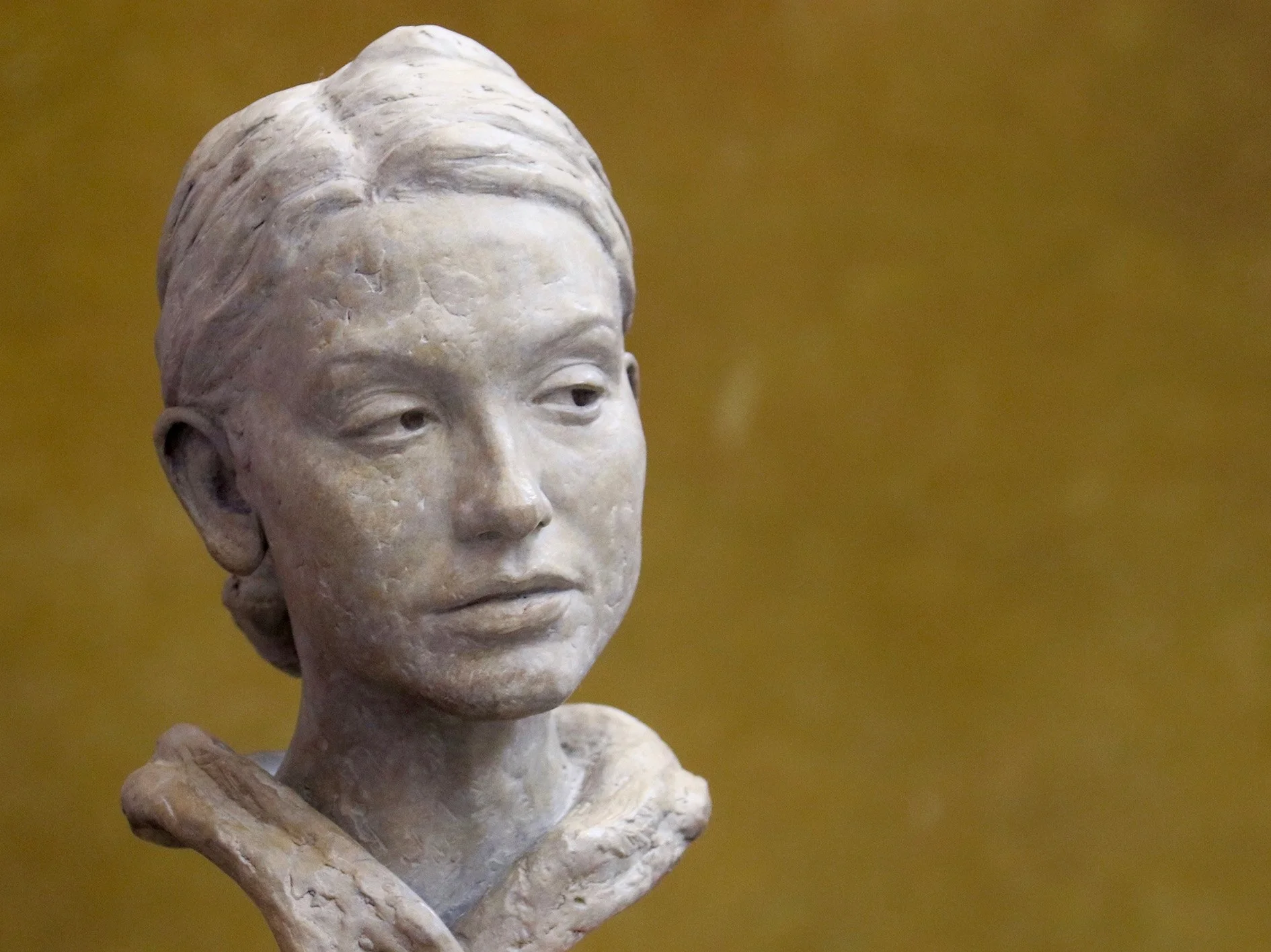 Amelia Rowcroft - Fine Art Sculptor