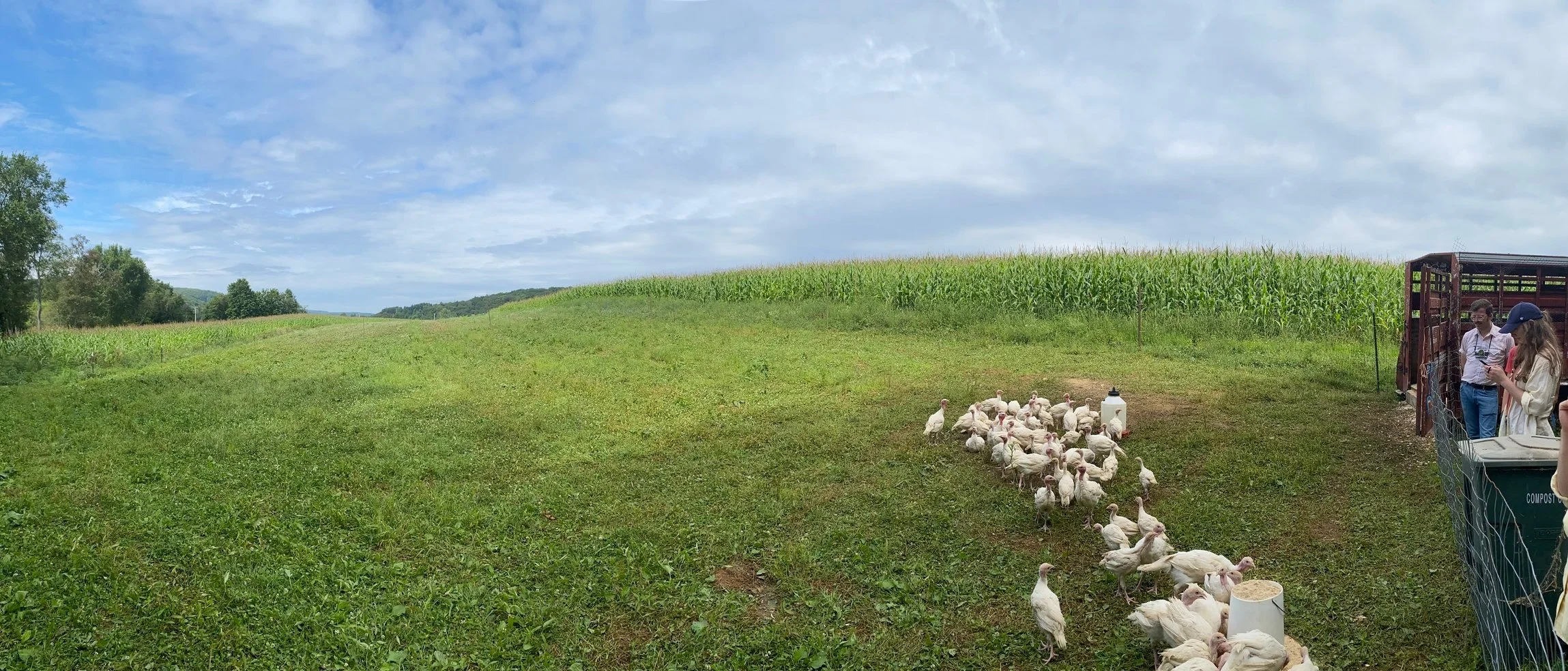 Meet Our Farms — Prospect Butcher Co