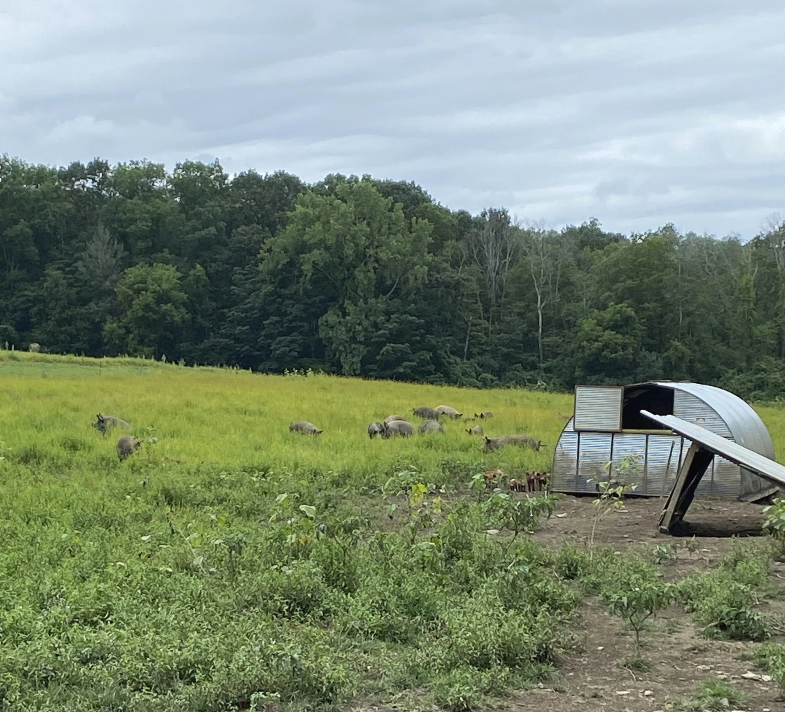 About Us — Prospect Butcher Co