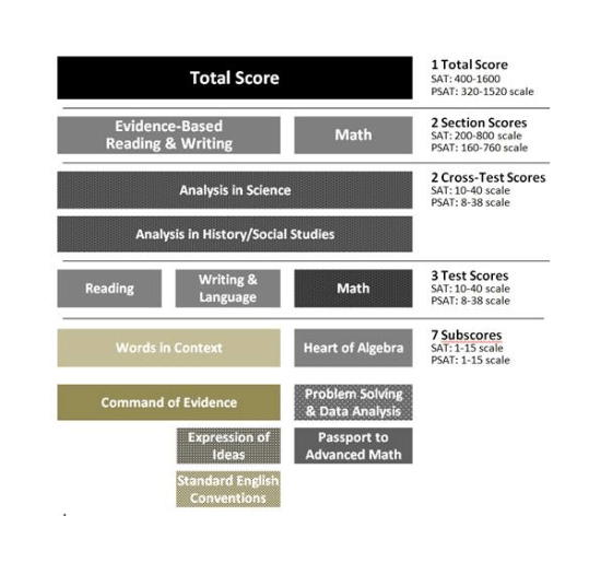 Florida PSAT & SAT Prep Courses & Tutoring — Score At The Top