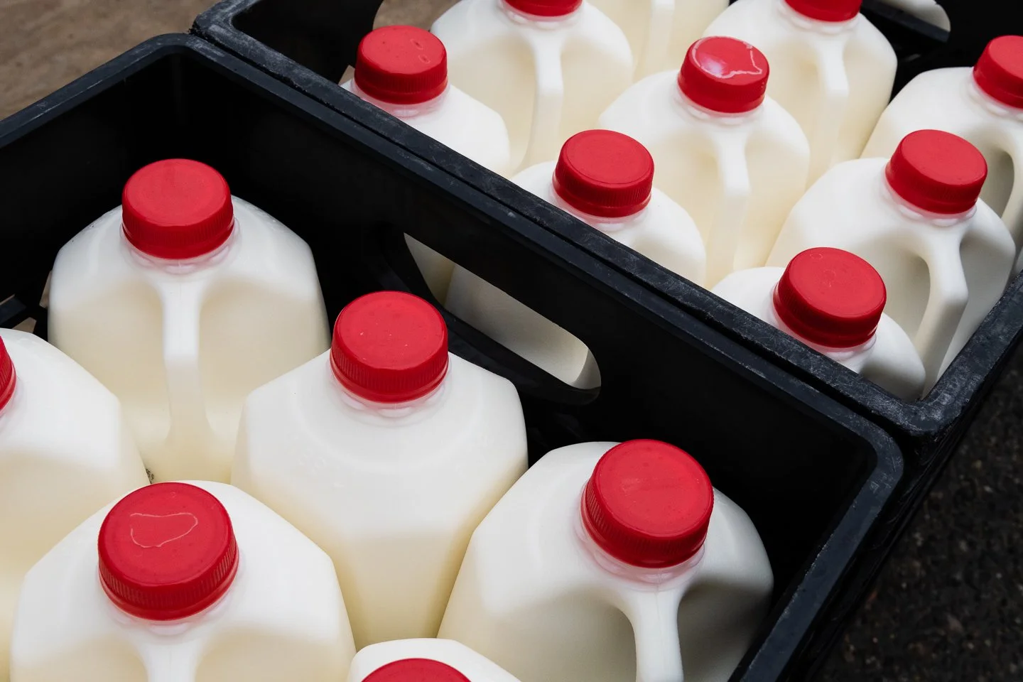 Grocery Program from Centre Street Food Pantry - Newton Food Pantry ...