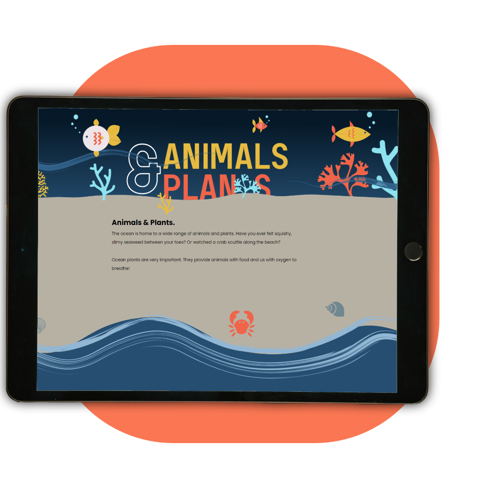 Emma Berry, Curious Creator of Learning