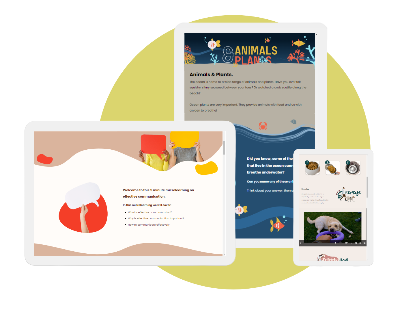 Portfolio — Emma Berry, Curious Creator of Learning