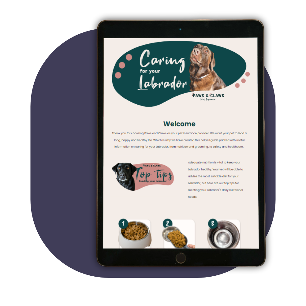 Emma Berry, Curious Creator of Learning