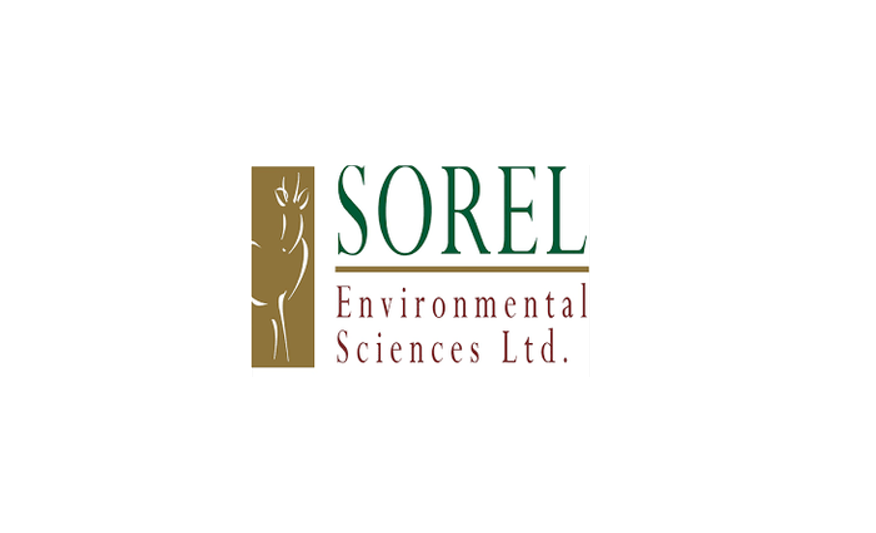 Portfolio — Flathead Forge