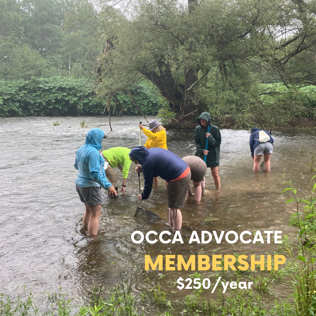 OCCA Membership | Support Local Conservation Today — Otsego County ...