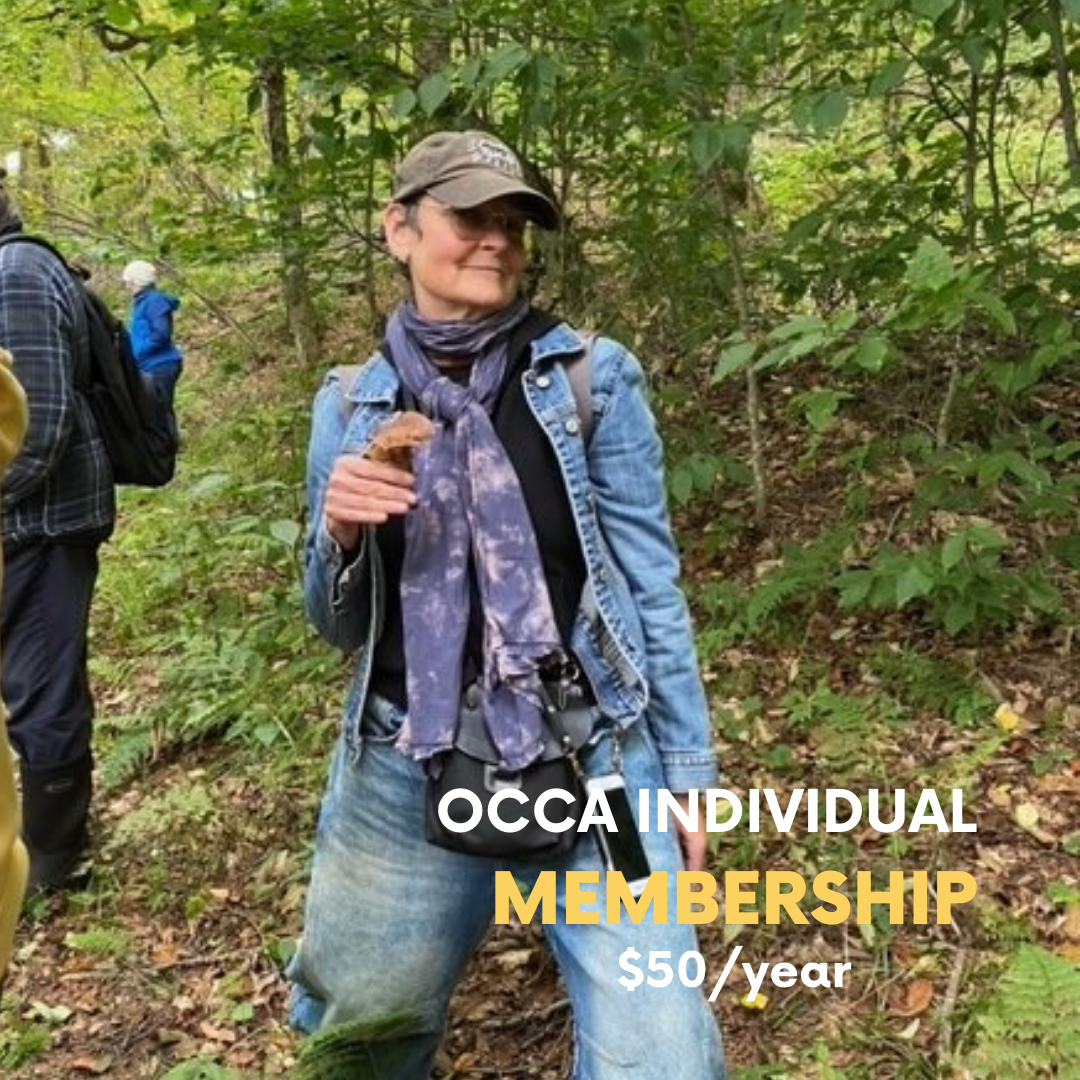 OCCA Membership | Support Local Conservation Today — Otsego County ...