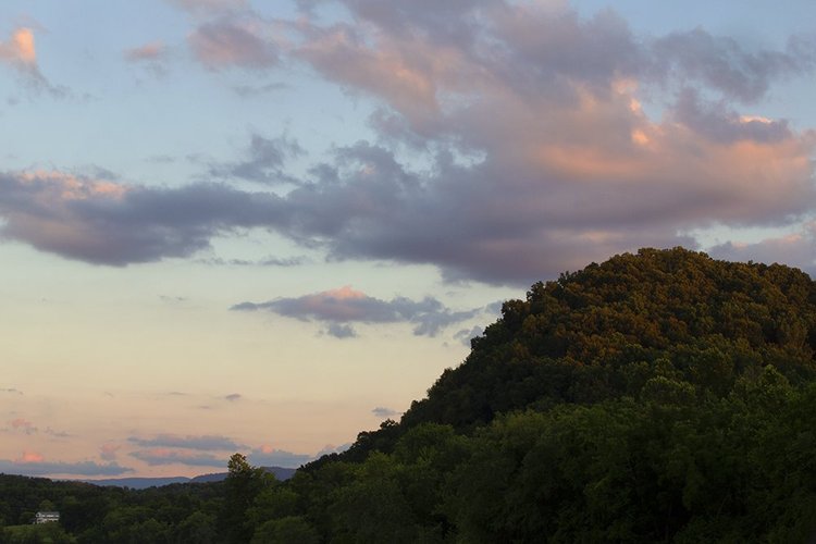 About Seven Islands State Birding Park — Friends of Seven Islands