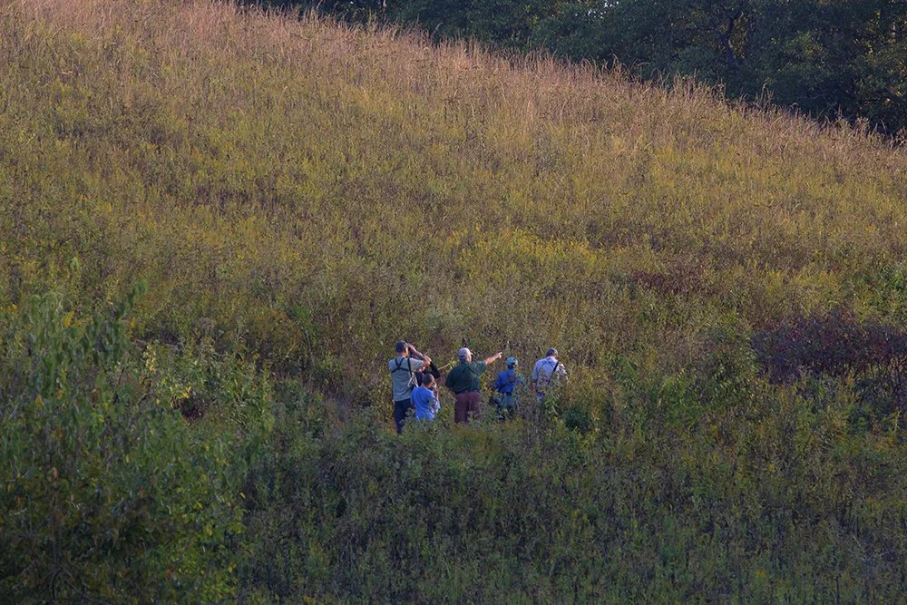 About Seven Islands State Birding Park — Friends of Seven Islands