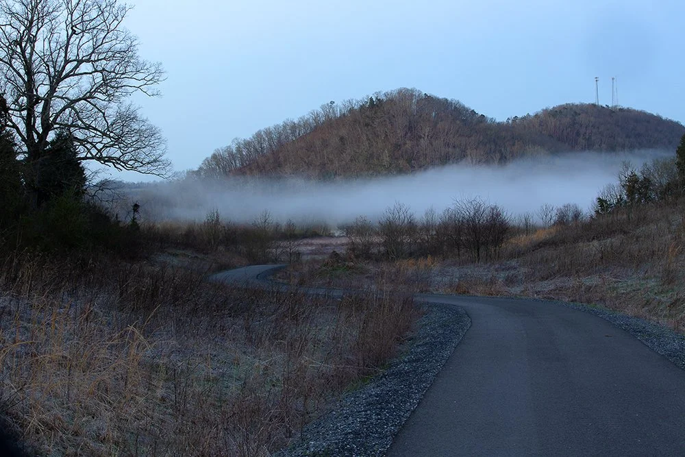 About Seven Islands State Birding Park — Friends of Seven Islands