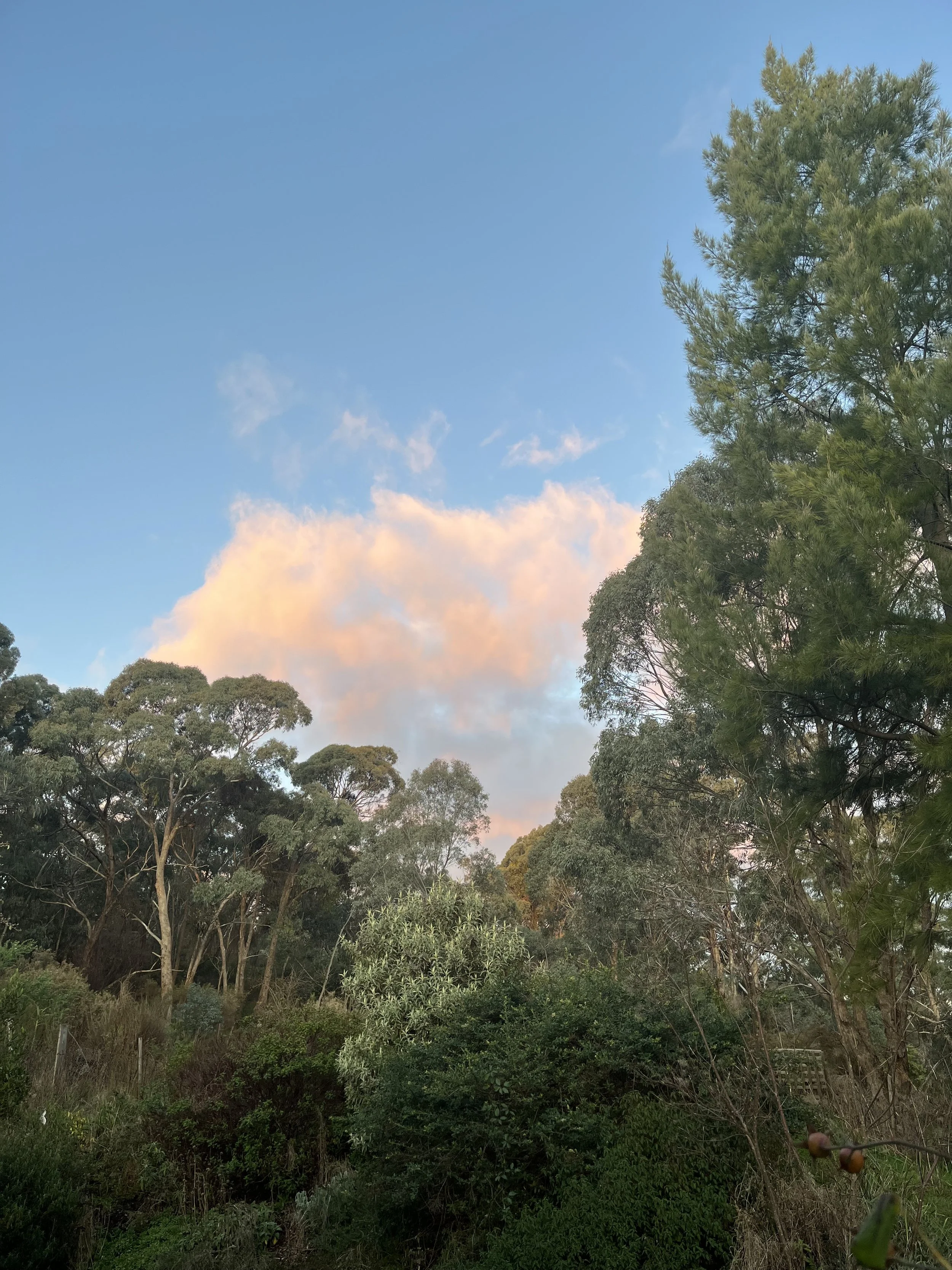 About 5 — P. Grinter Flutes