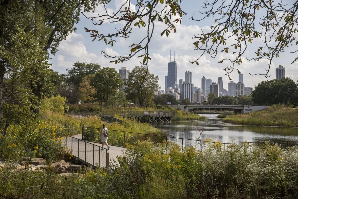 13 Best Chicago Photoshoot Locations for Stunning Shots