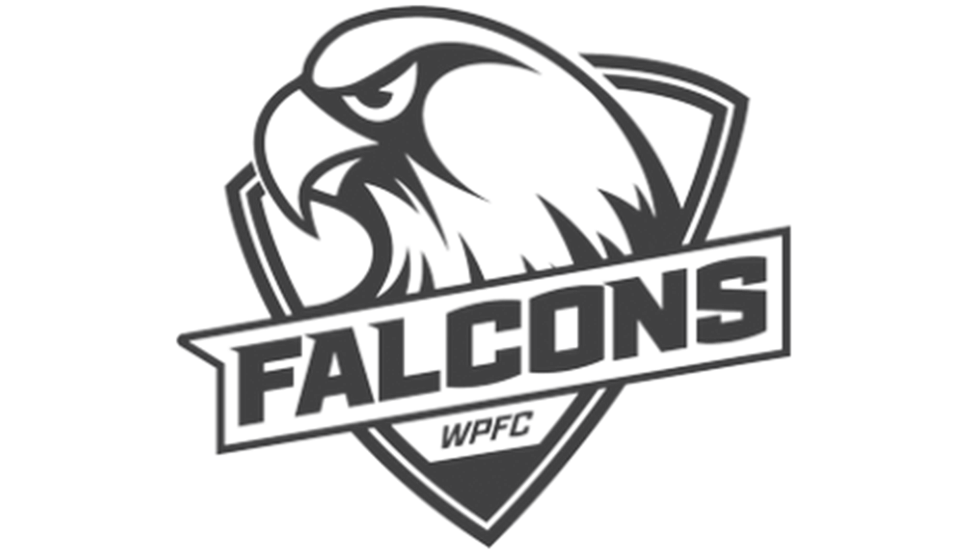 Seven Patterns — Consulting + Creative Services