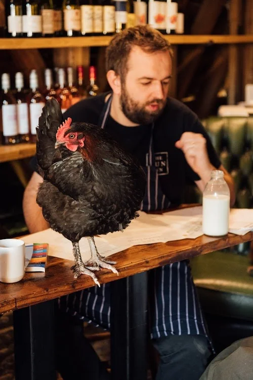 ABOUT — The Sun Felmersham