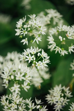 ABOUT — The Sun Felmersham