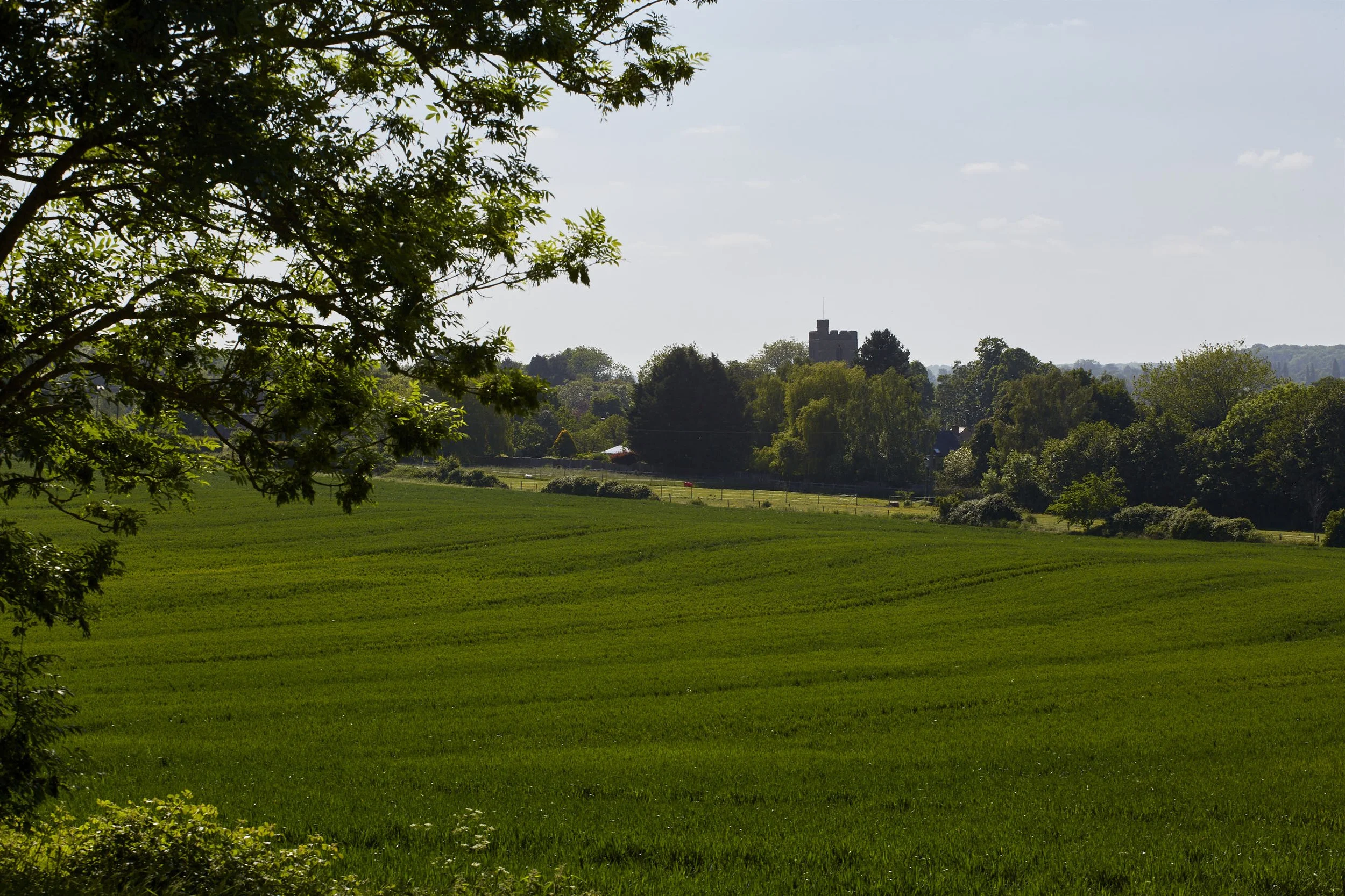 ABOUT — The Sun Felmersham