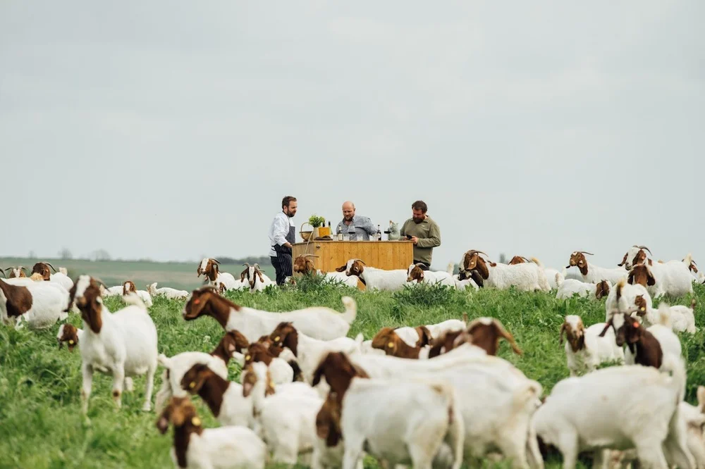 ABOUT — The Sun Felmersham