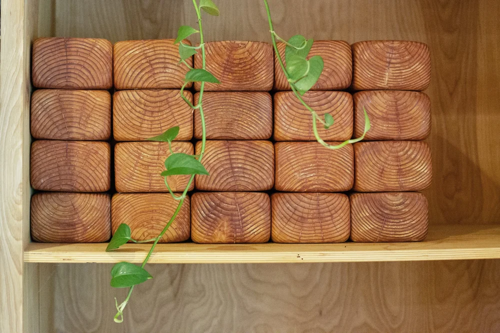 Mount Tabor Pelvic Therapy