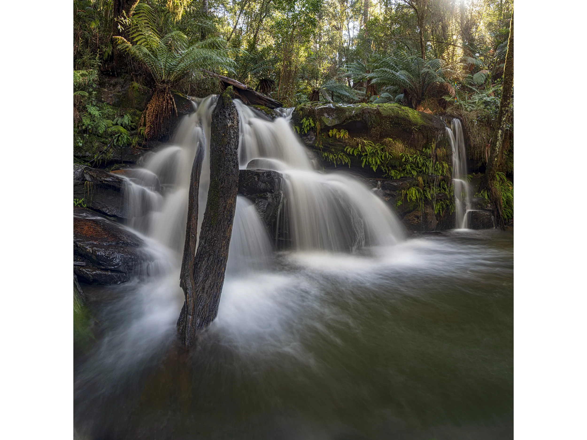 Skinners Falls — Tim Lucas Photography