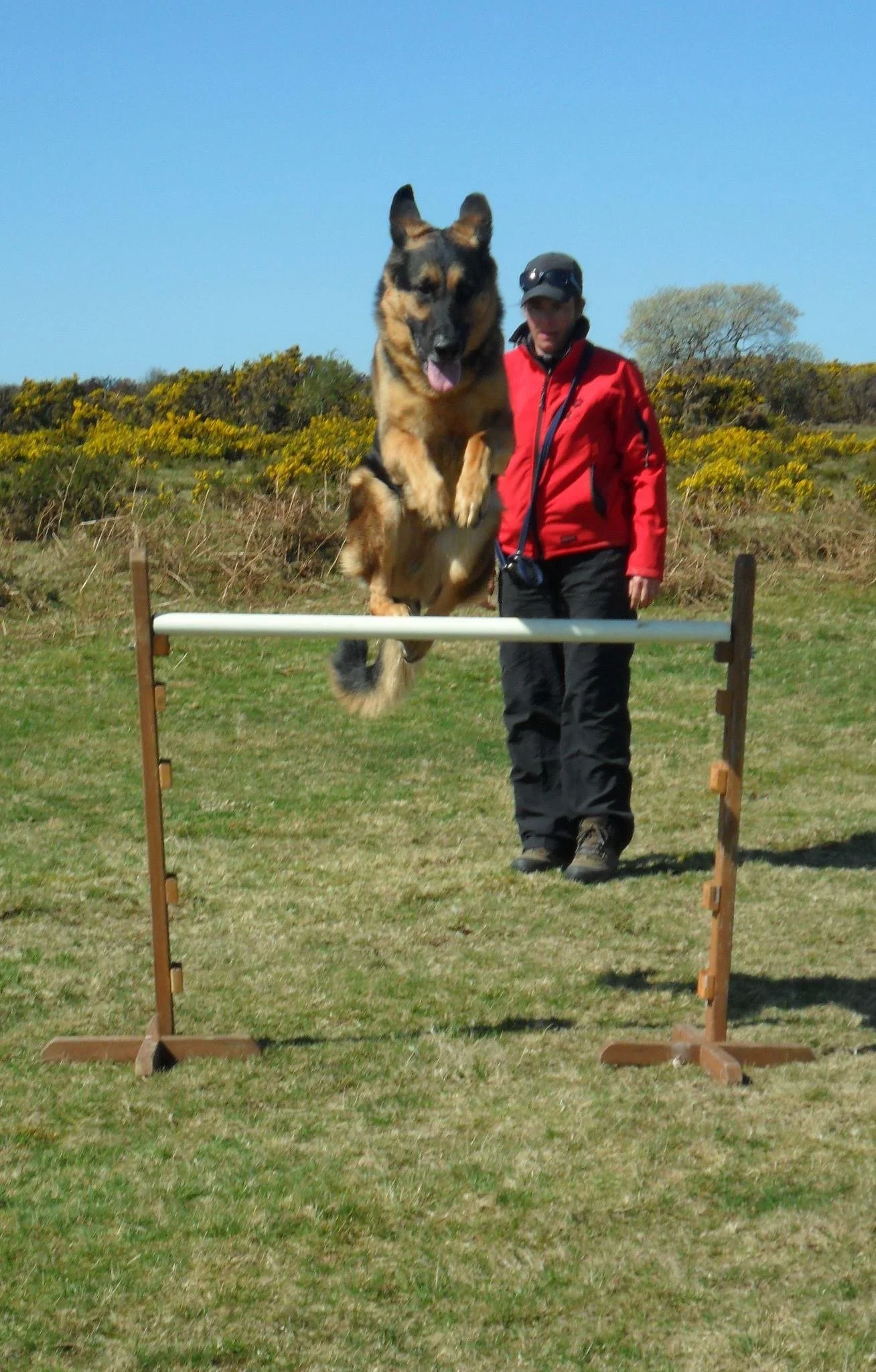 Sports Training — The GSD Hub